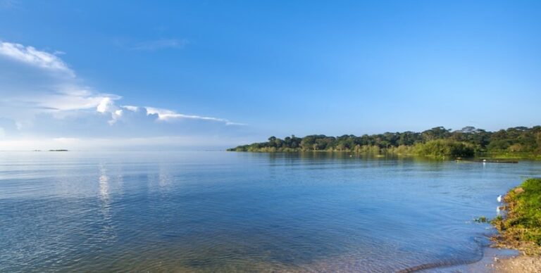 Lake Victoria in Africa- Activities to do while on Lake Victoria in Uganda